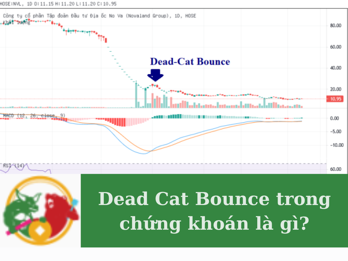 [3 CHI TIẾT] Tìm hiểu về Dead cat bounce trong chứng khoán là gì?