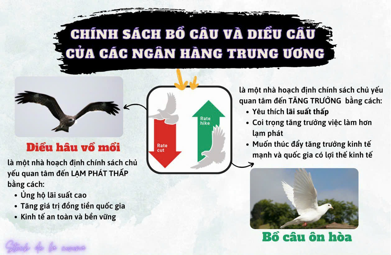 BỒ CÂU HAY DIỀU HÂU?