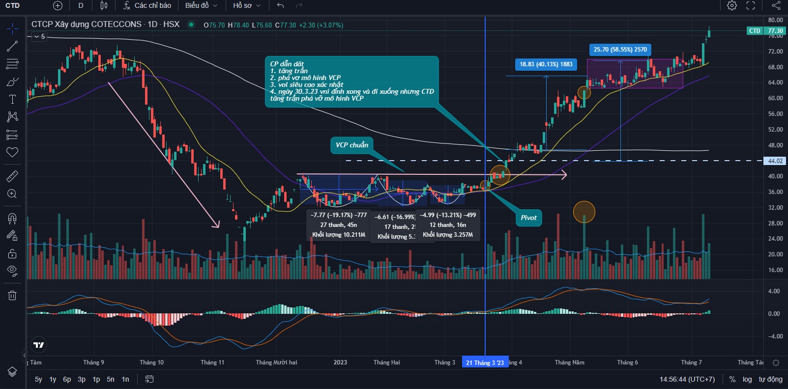 CTD - 1 thủ lĩnh đích thực trong thị trường