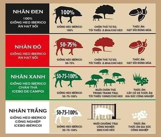 Tản mạn câu chuyện đùi heo Tây Ban Nha của Shark Hưng