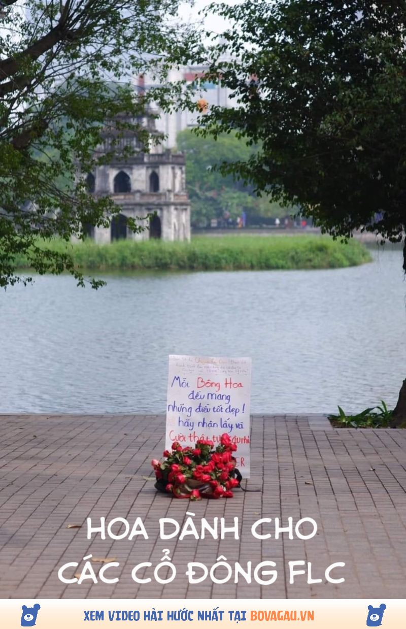 Hoa dành cho các cổ đông FLC