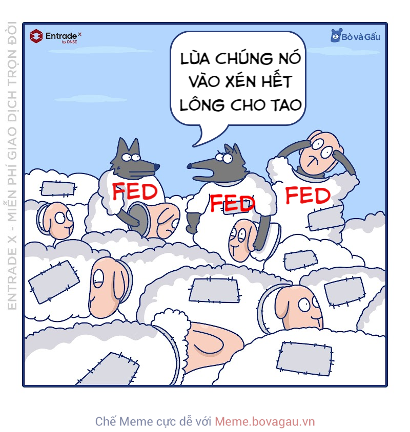 Quy trình xén lông cừu được FED thực hiện như thế nào?