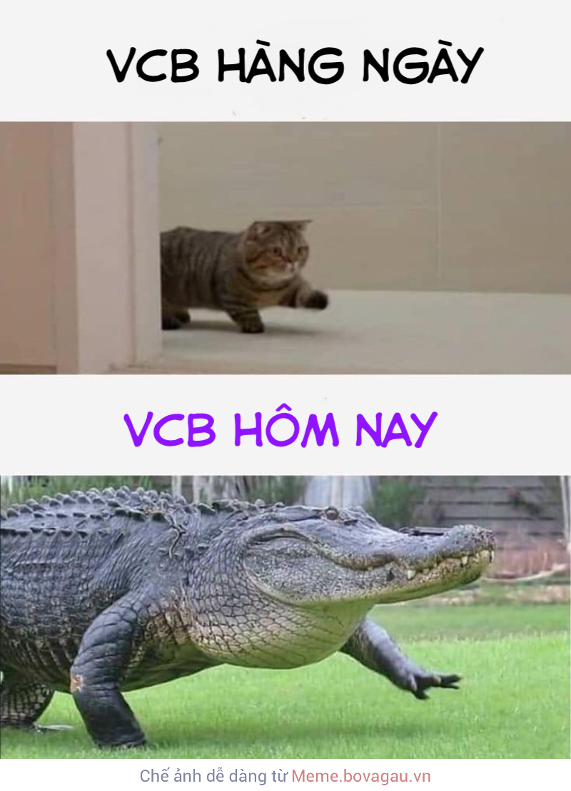 Cổ đông vcb giơ tay lên