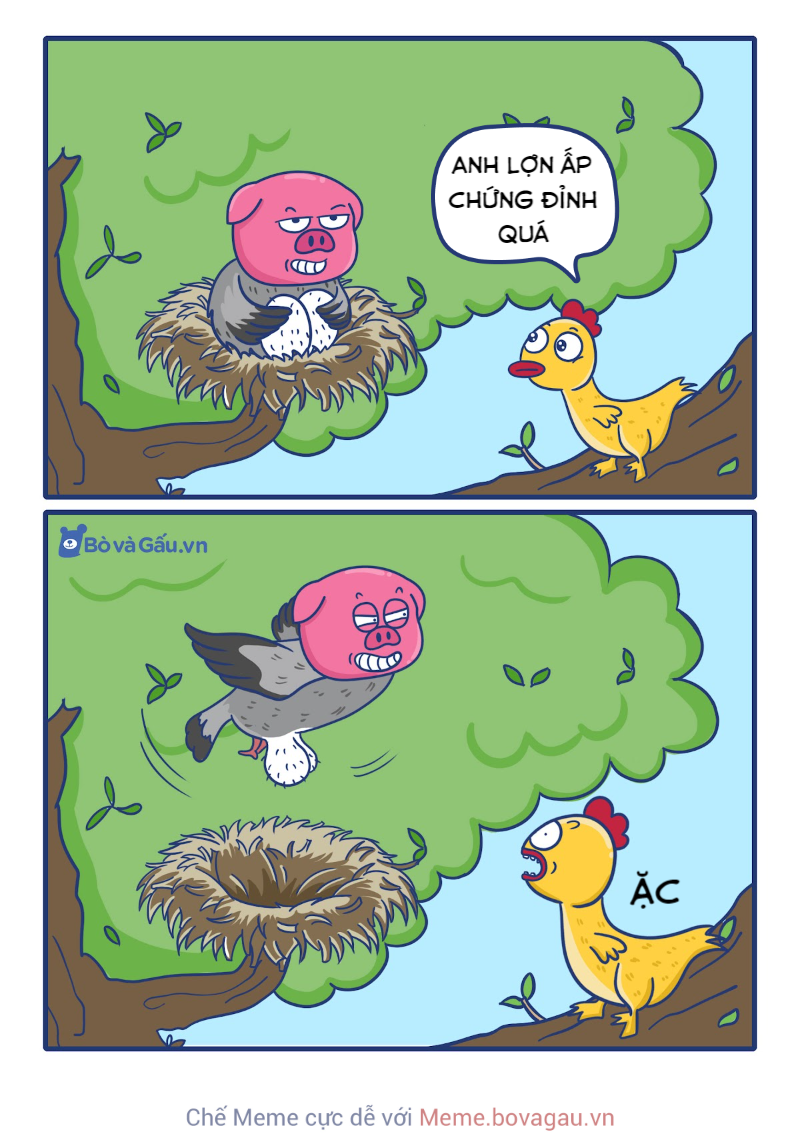 Chim Lợn Trong Chứng Khoán Là Gì? Các Meme Hay Nhất Về Chim Lợn Trong ...