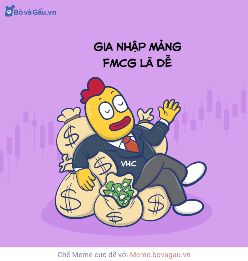 VHC: Tham vọng trở thành Tập đoàn FMCG qua Chiến lược M&A và Đầu tư Đa ...