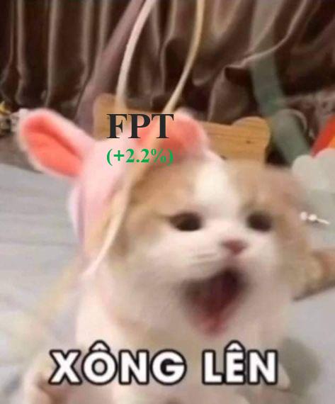 Hạm đội 500 anh em FPT, theo tôi về bờ!!!...