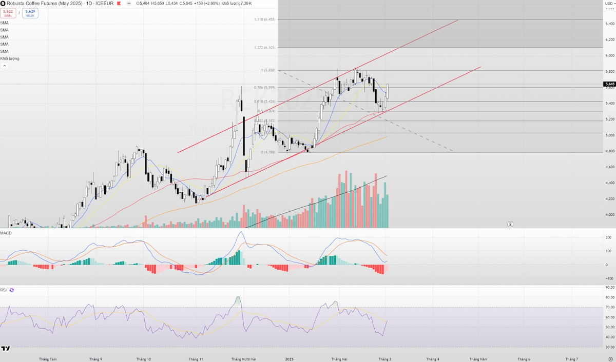 Cà Phê Robusta Phân tích kỹ thuật:
