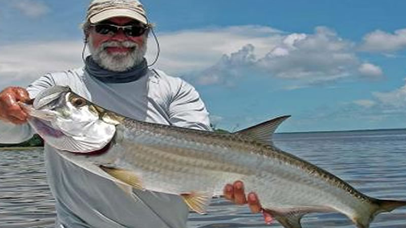 Florida Inshore Fishing Charters | Florida Inshore Fishing on the Flats