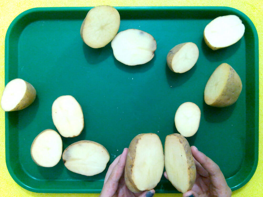Numeracy Skills Activity Potato Halves - ClassMonitor