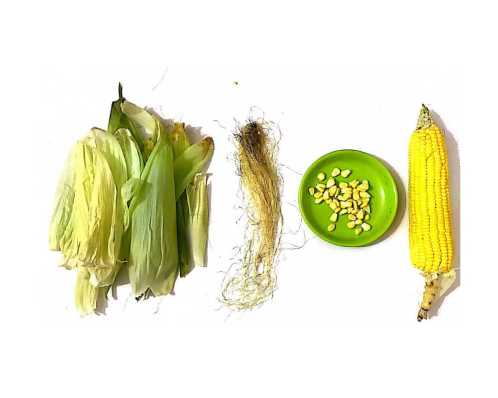 Fruits And Vegetable Activity Corn Counting - Snack Recipe - ClassMonitor