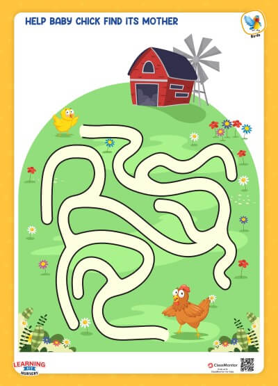 Birds Activity Help Baby Chick Find Its Mother - ClassMonitor