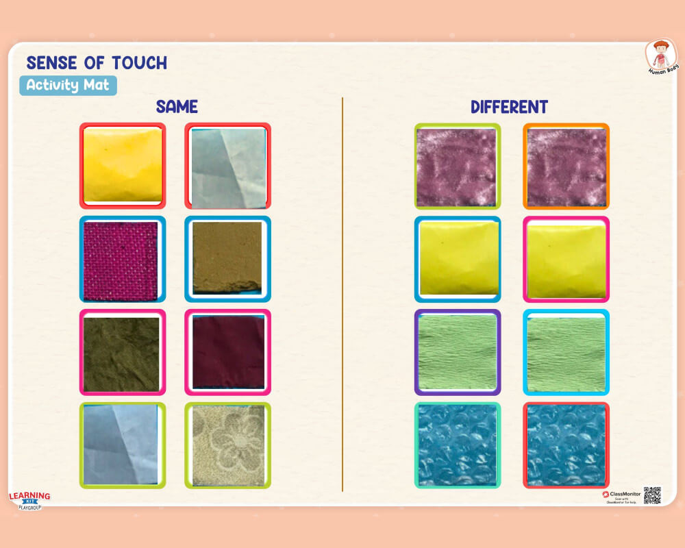 The Human Body Activity Sense Of Touch Project Classmonitor