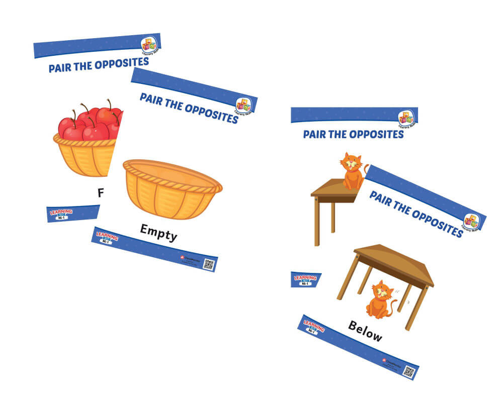 Literacy Skills Activity Pair The Opposites - ClassMonitor