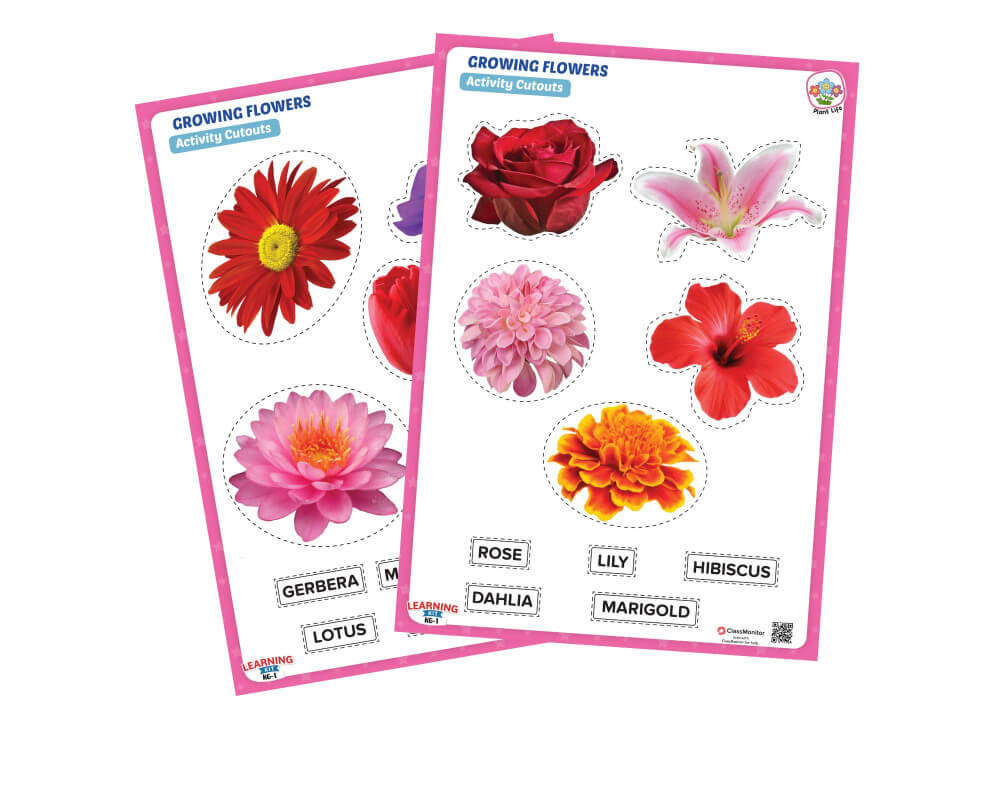 Plants & Flowers Activity Growing Flowers - ClassMonitor