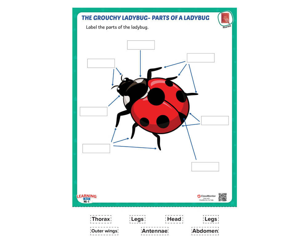 Stories Activity The Grouchy Ladybug - Parts Of A Ladybug - ClassMonitor