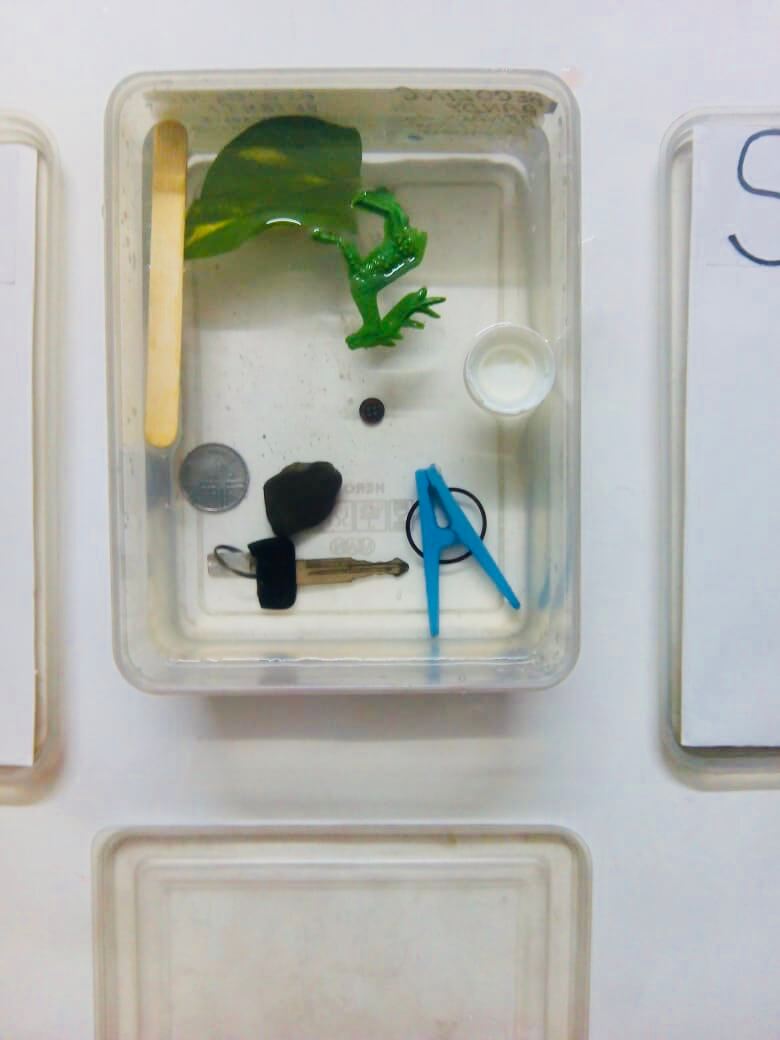 Water Activity Sinking And Floating - ClassMonitor