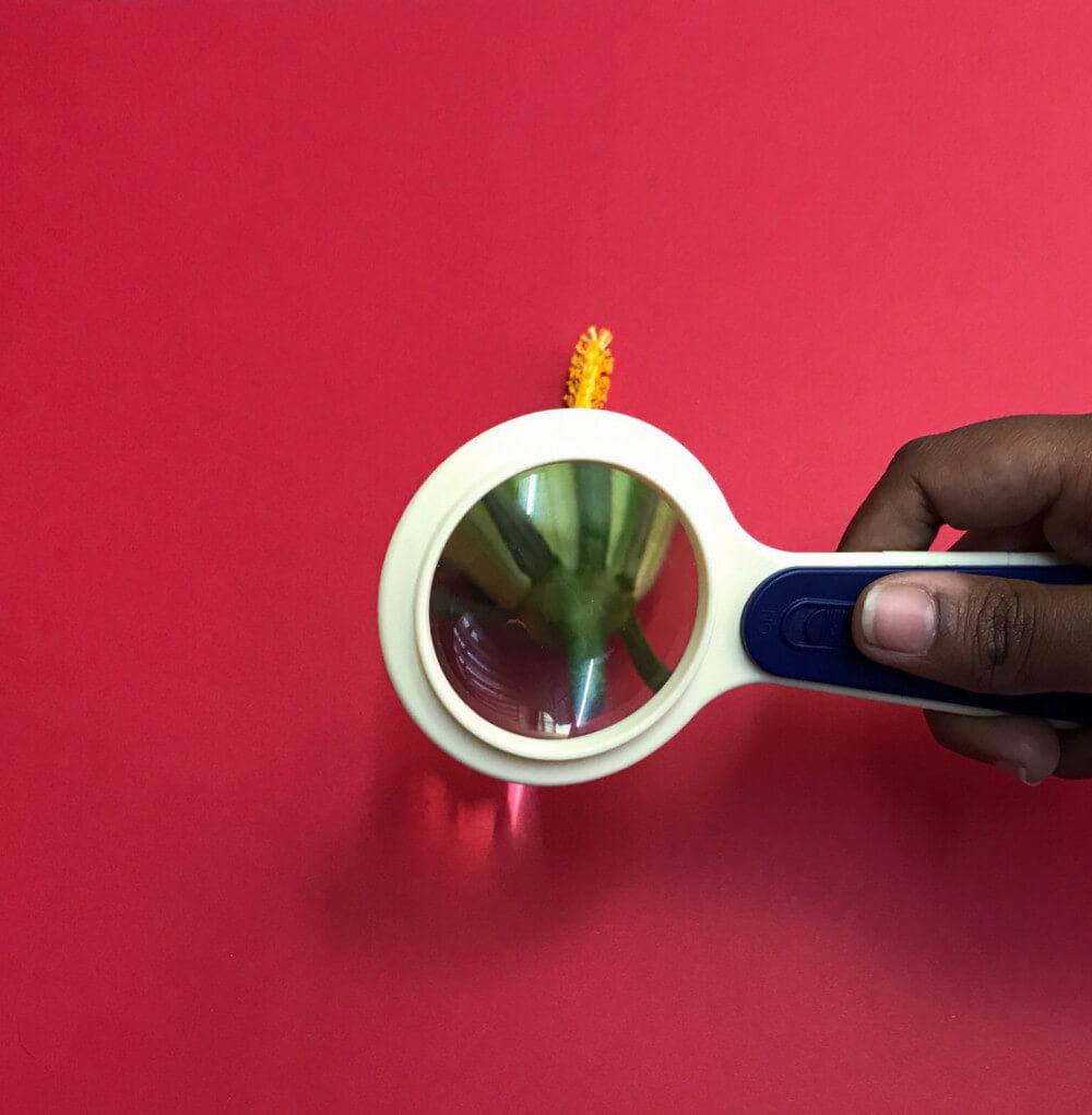 Plants & Flowers Activity Flower Exploration & Parts Of A Flower ...