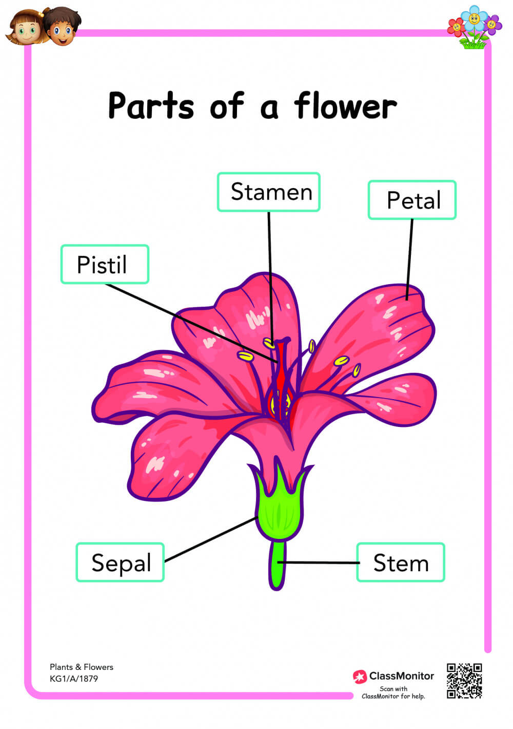 Plants & Flowers Activity Flower Exploration & Parts Of A Flower ...