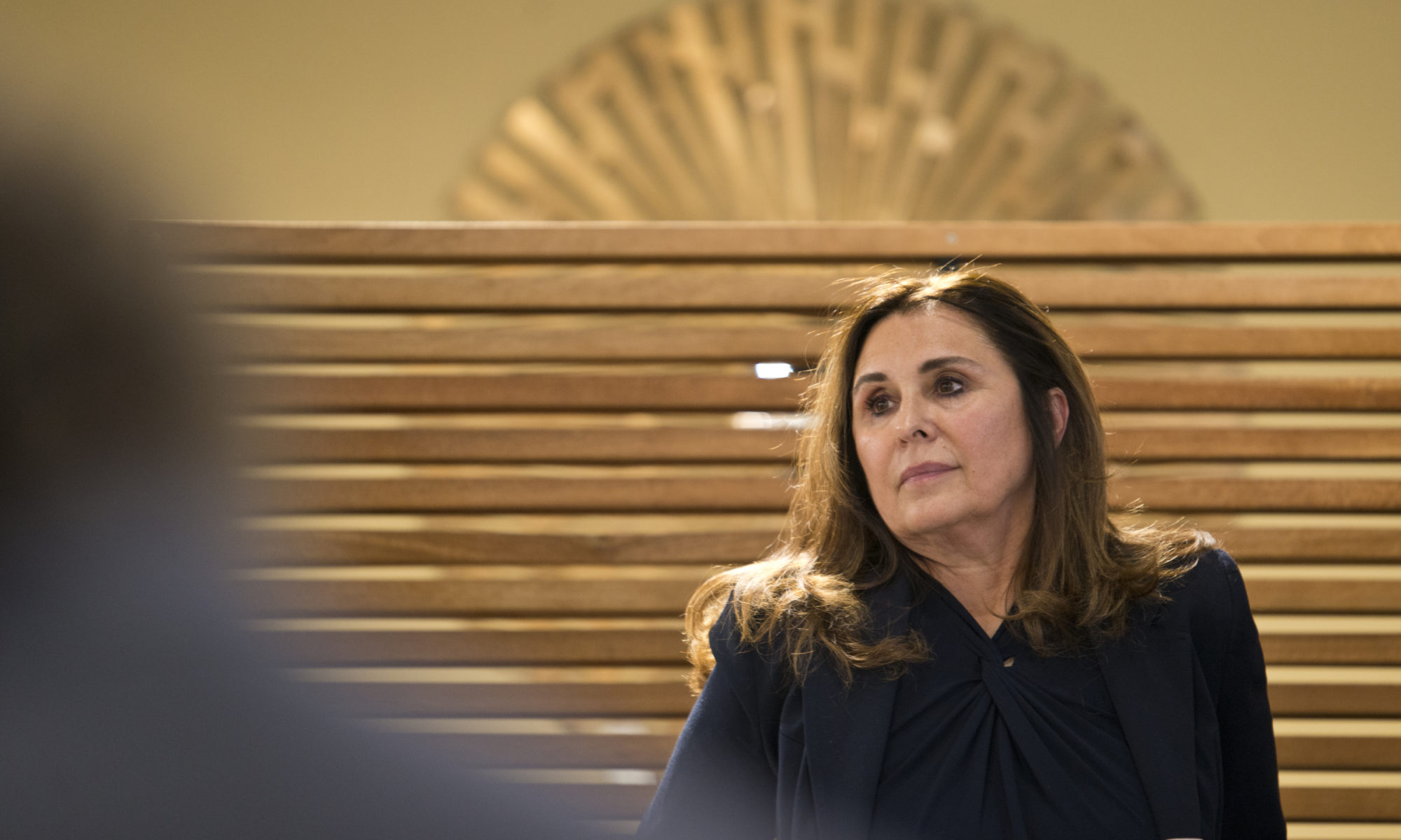 Former assemblywoman drops out of race for Congress - The Nevada ...