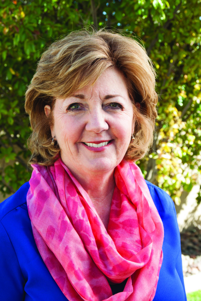 Ex-Democratic assemblywoman to run for key state Senate seat - The ...