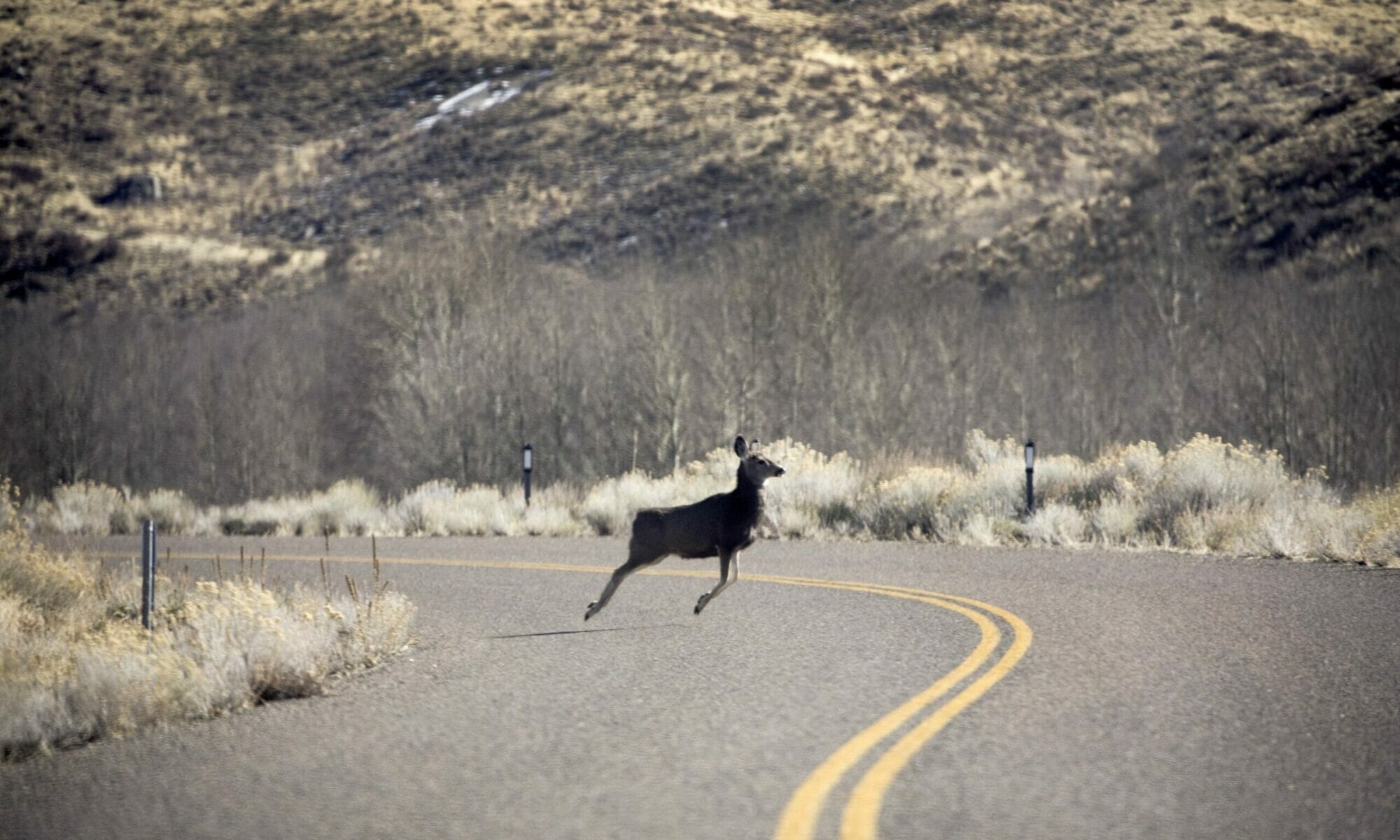 BLM’s new public lands rule good for wildlife, hunters, outdoor ...
