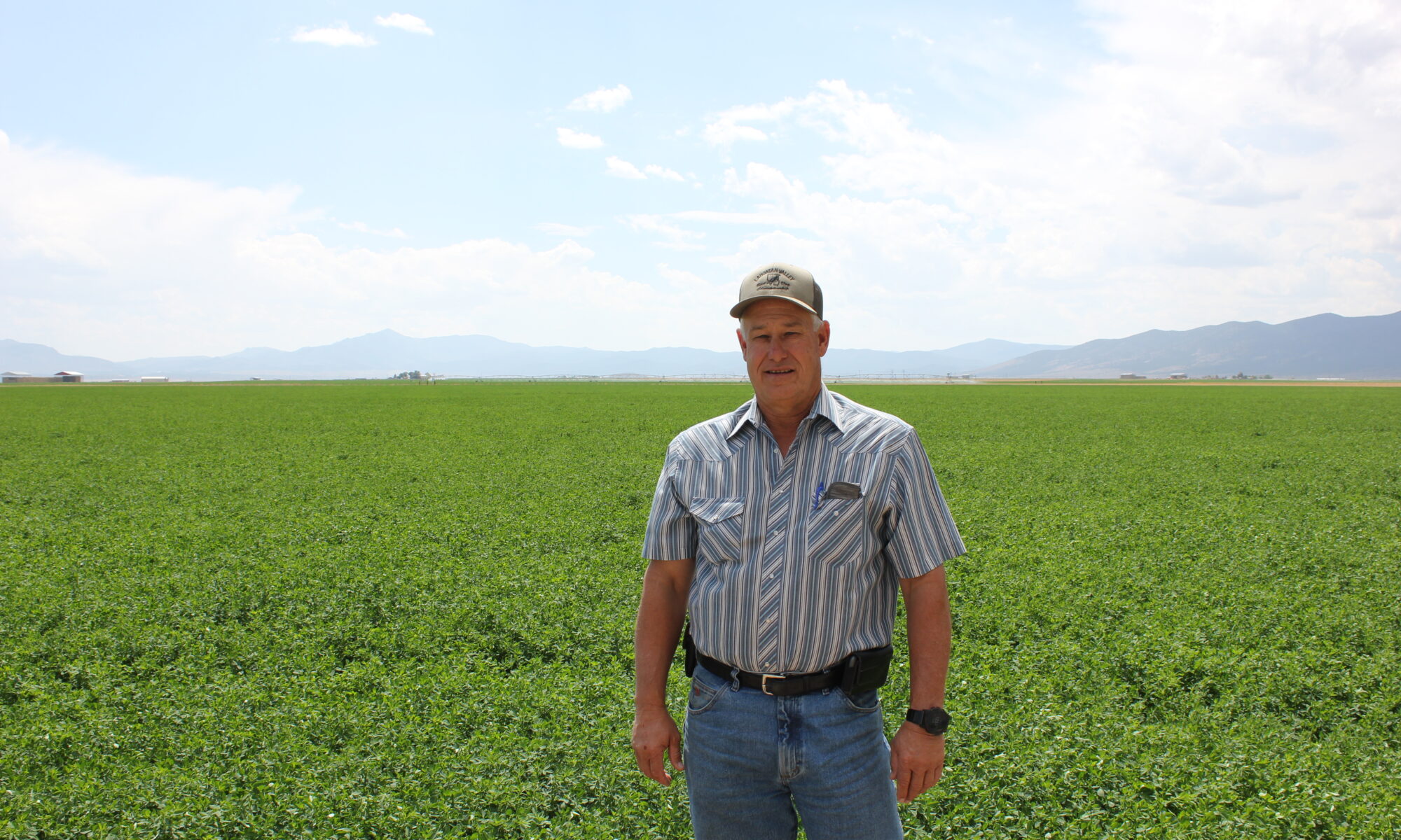 The Nevada Independent - Your state. Your news. Your voice.