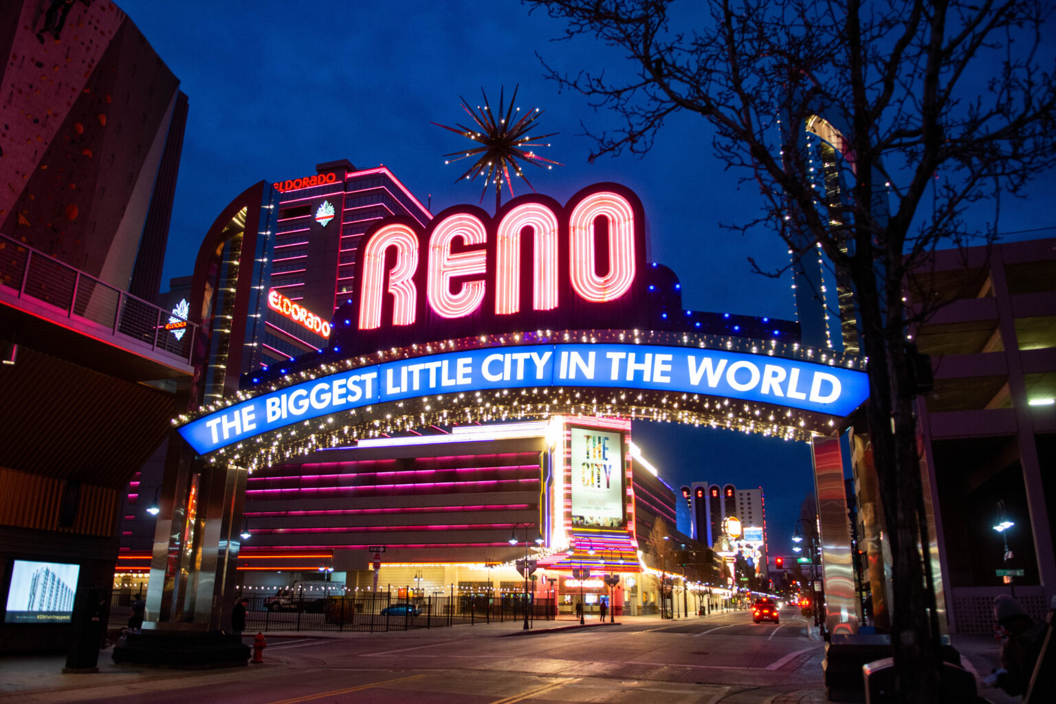 Meet the 8 Democrats running in Nevada's 2nd Congressional District ...