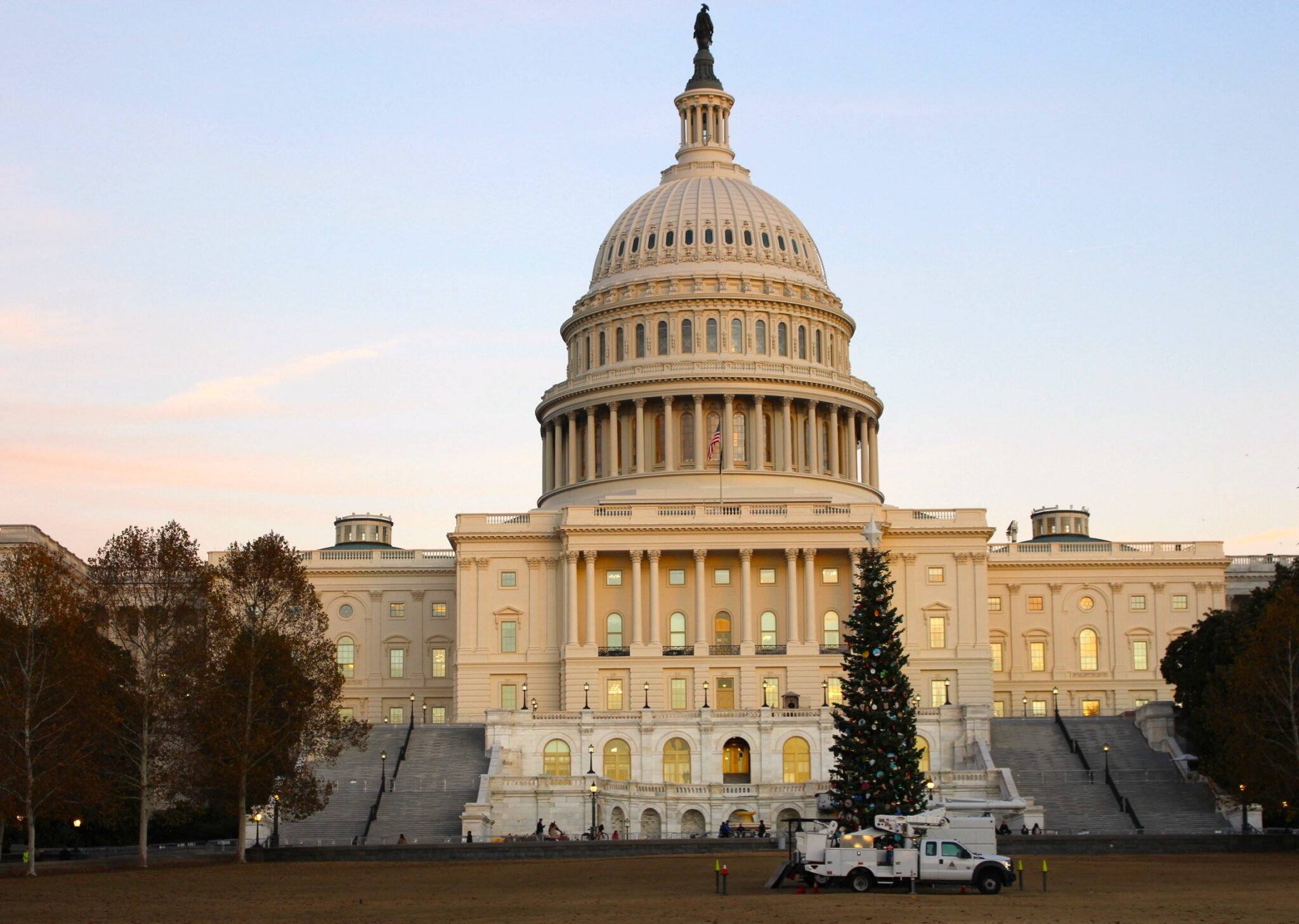 The inside story of how a Nevada fir became the U.S. Capitol Christmas ...