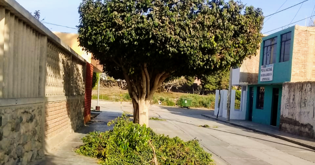 MPP: Podan Pero No Limpian y Vuelven a Hacerlo - UNDiario