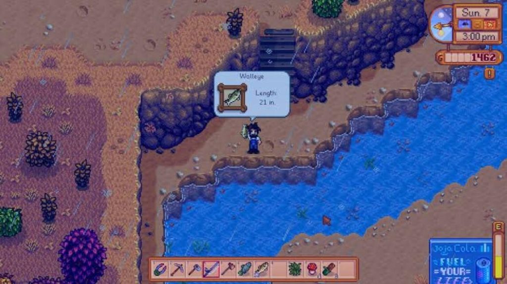 How to Catch Walleye in Stardew Valley!