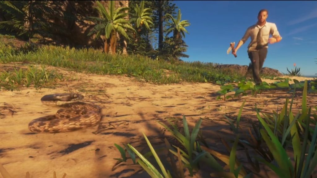 Stranded Deep: Gameplay, Playing Tips, and PC Specifications