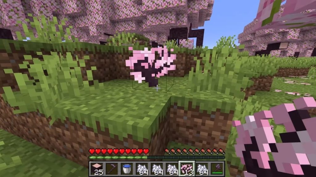 Semua Panduan Tentang Bunga Sakura di Minecraft