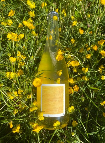 2020 Parallel Voicing from Patois Cider | Vinoshipper