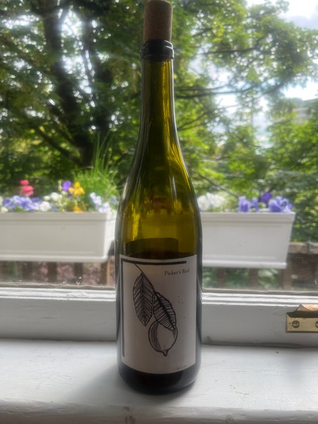2023 Picker's Red from Jess Miller Wines | Vinoshipper
