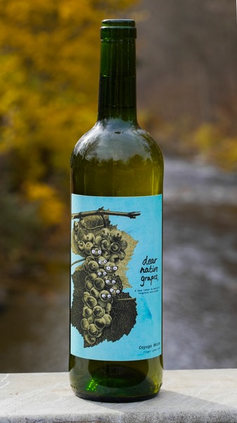 Shop dear native grapes | Vinoshipper