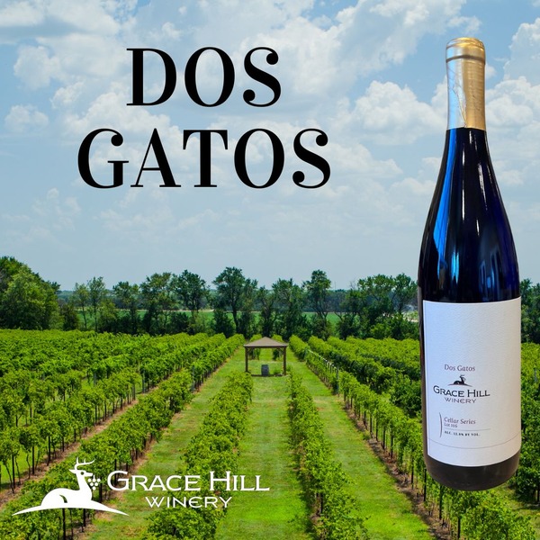 Dos Gatos from Grace Hill Winery | Vinoshipper
