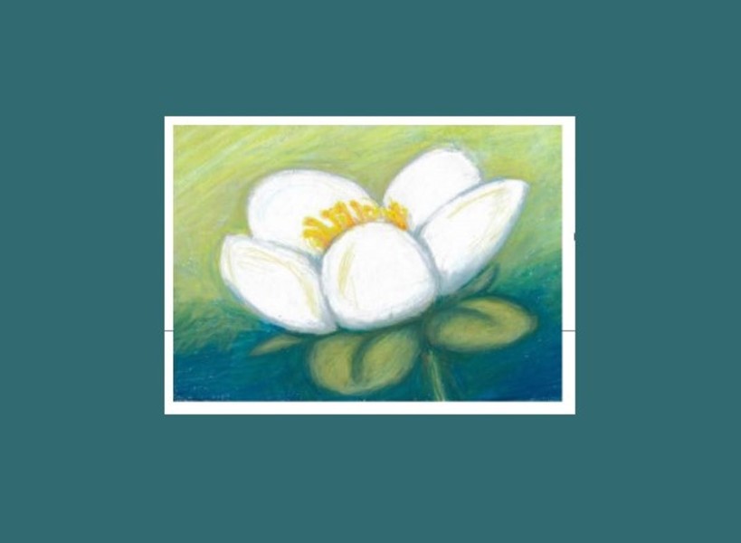 Green Tea | Native Vines Winery | Cider | Vinoshipper