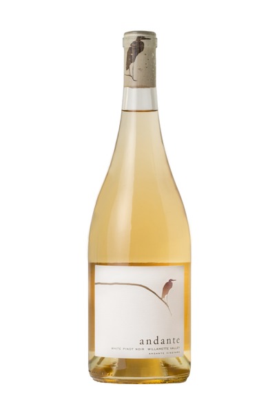2024 White Pinot noir | Andante Vineyard | Oregon Wines | Vinoshipper