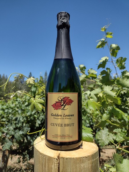 Shop Golden Leaves Vineyard & Winery | Vinoshipper