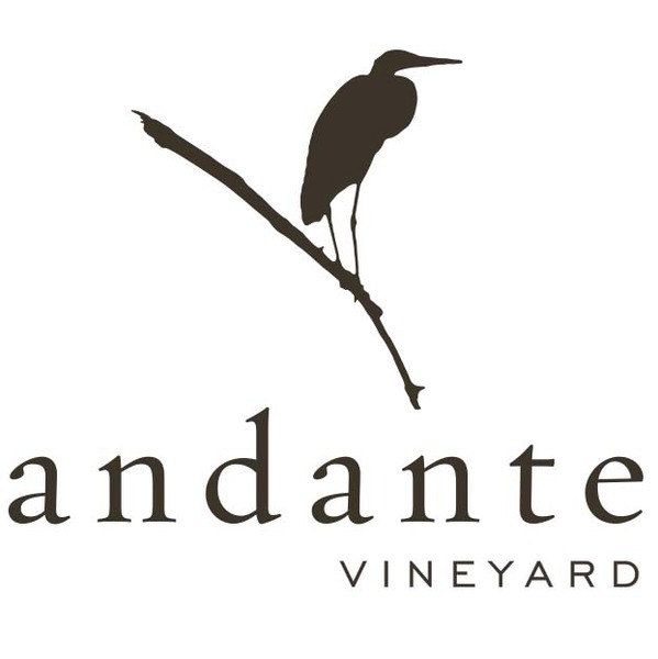 Andante Vineyard | Oregon Wines | Vinoshipper