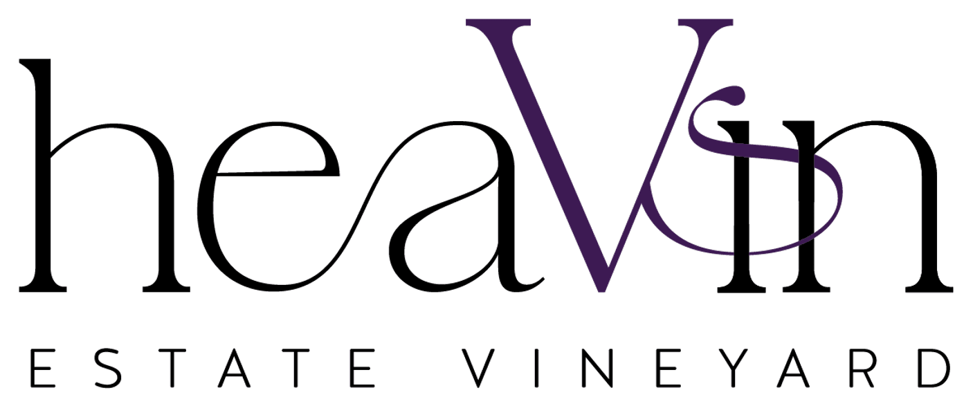 heaVin Estate | Oregon Wines | Vinoshipper