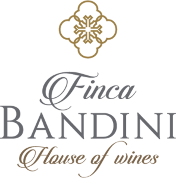 2022 Los Muros 100 Años | Finca Bandini | Texas Wines | Vinoshipper