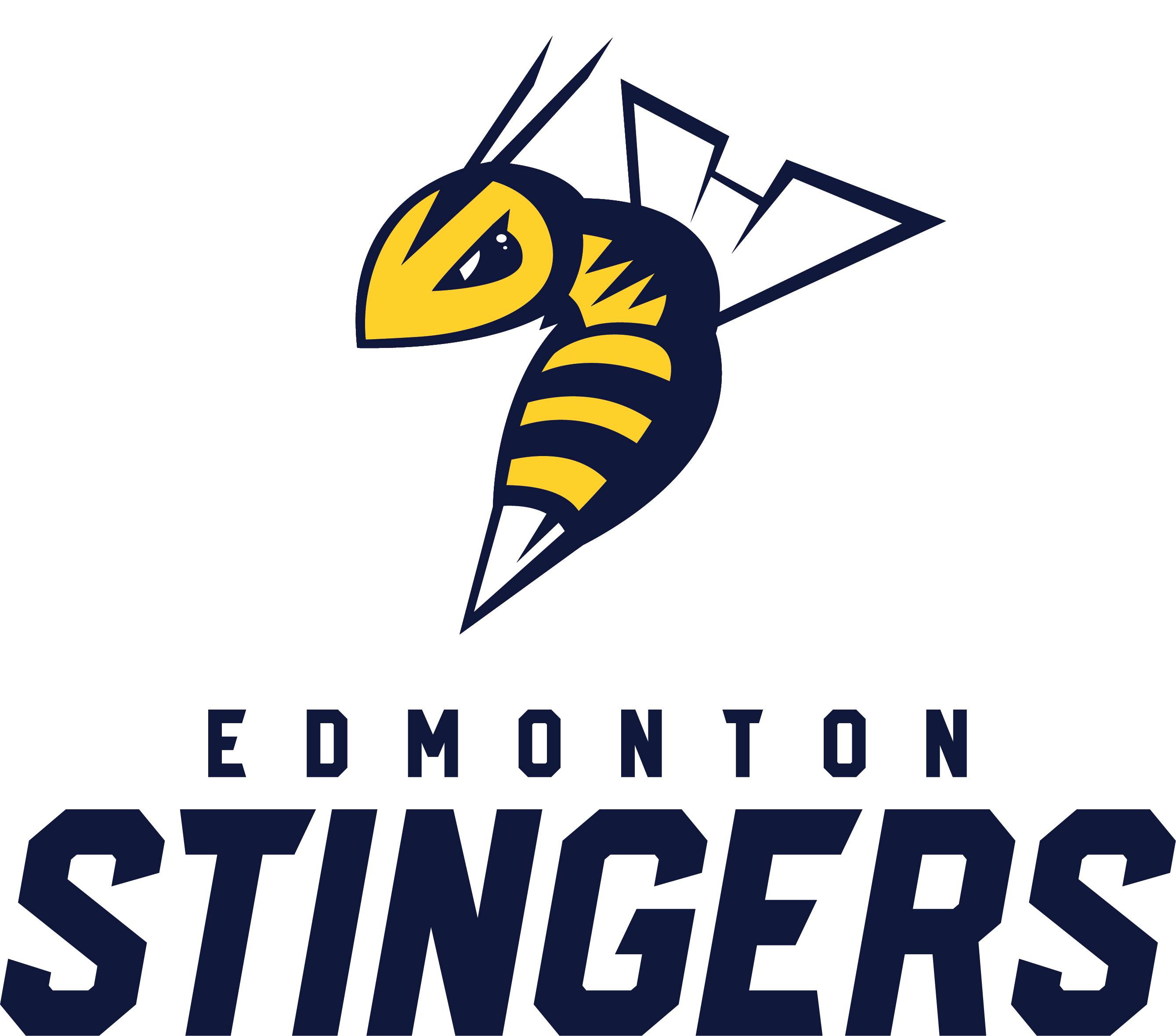 Calgary Surge Basketball - Canadian Elite Basketball League