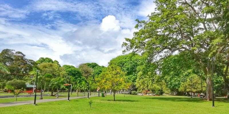 Viharamahadevi Park A Lush Oasis in the Heart of Colombo