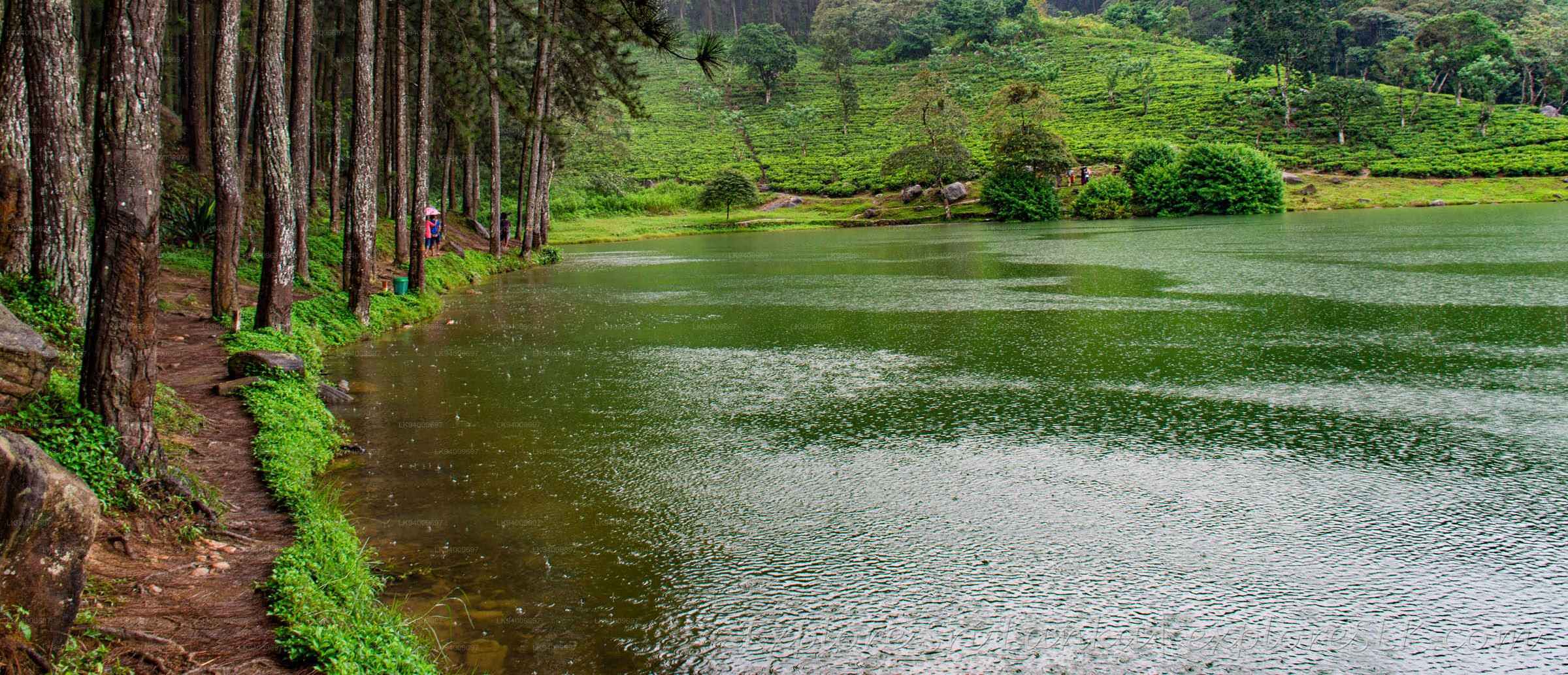 Sembuwatta Lake A Tranquil Escape in Sri Lanka