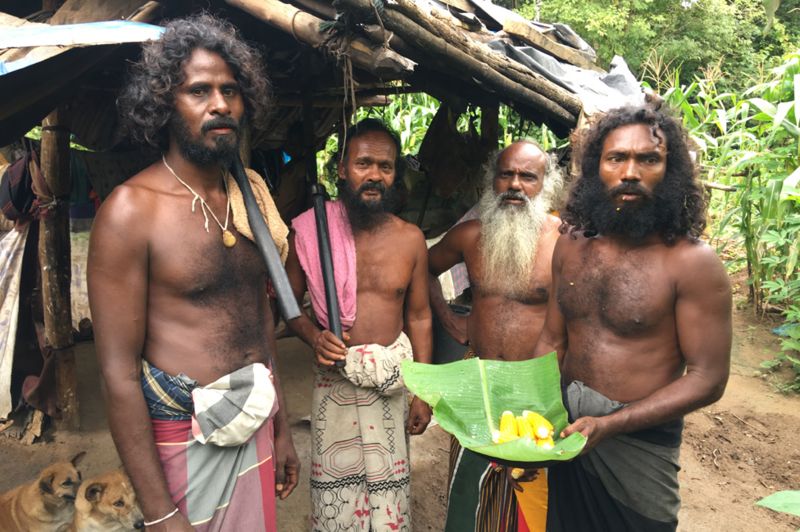 Discovering the Veddas Sri Lanka's Indigenous Heritage