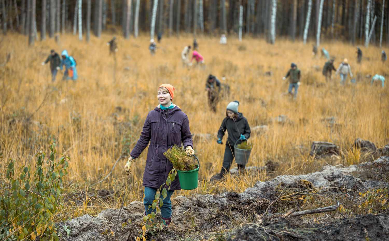 Regenerative Travel Embracing a New Era of Tourism