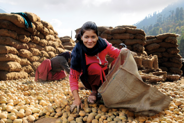 International Potato Center (CIP) - CGIAR