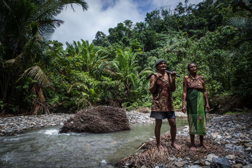 Center for International Forestry Research (CIFOR) - CGIAR