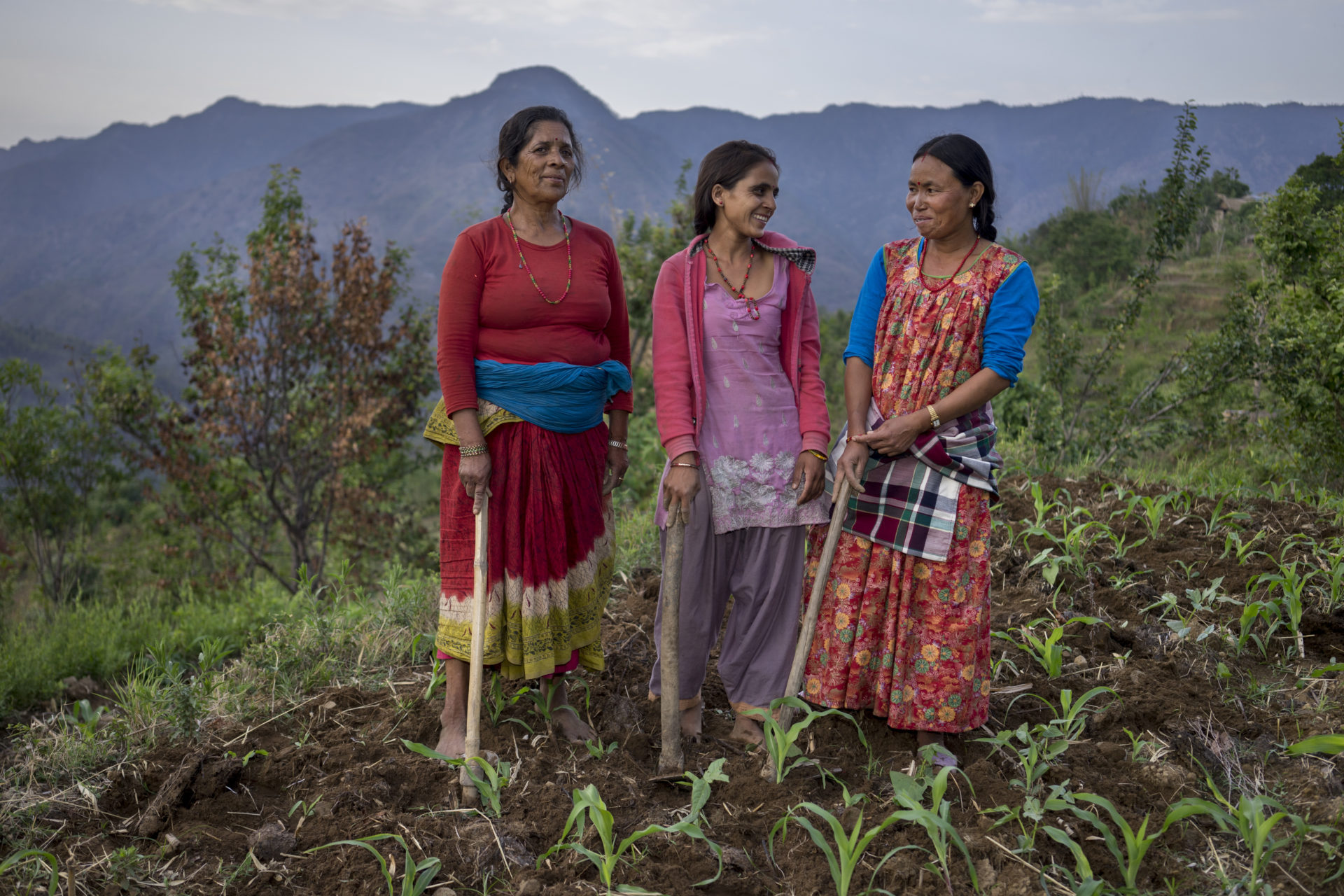 CIMMYT - CGIAR